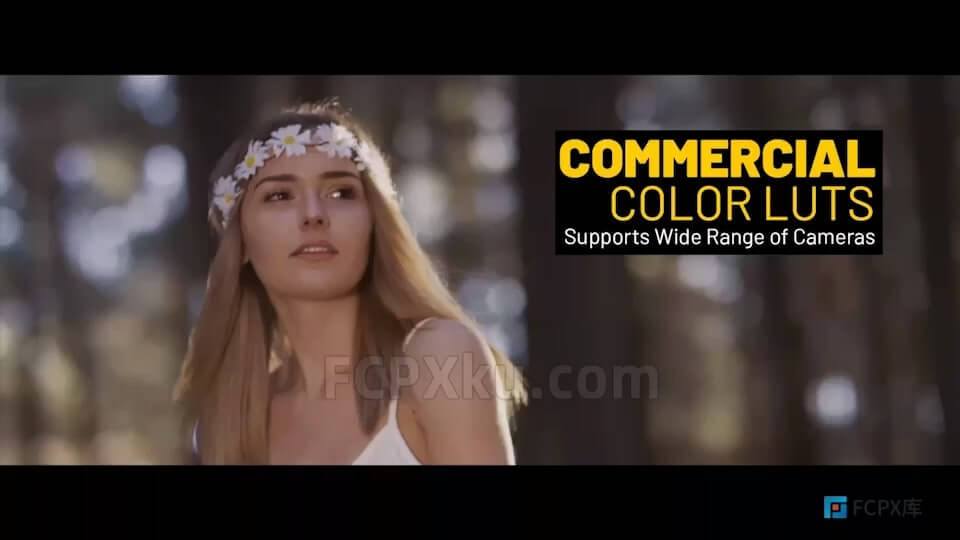 51种商业宣传片视频调色LUTs预设_FCPX库