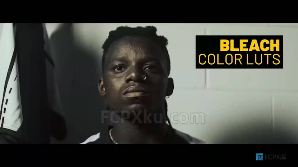 15组偏黄褪色复古视频调色LUTs预设_FCPX库