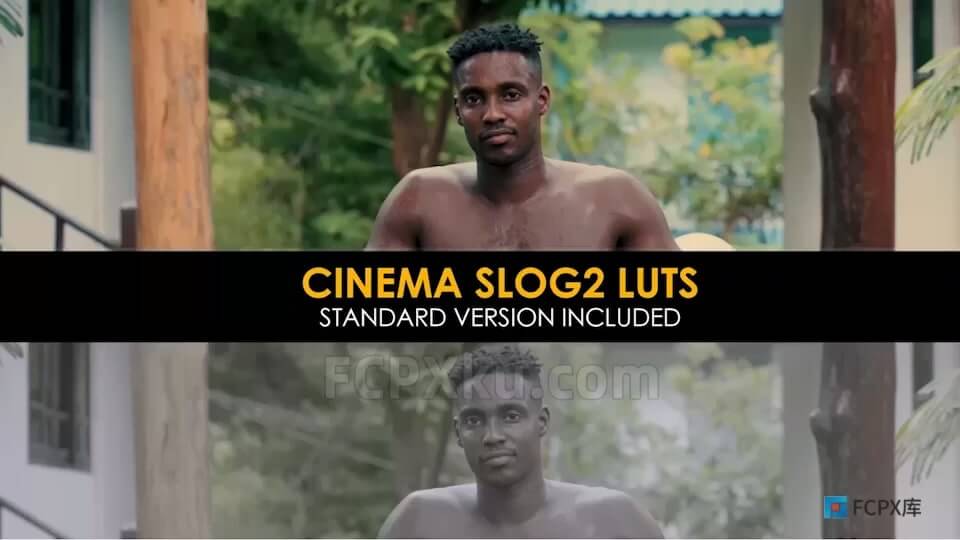22组索尼Slog2电影级视频调色LUTs预设_FCPX库