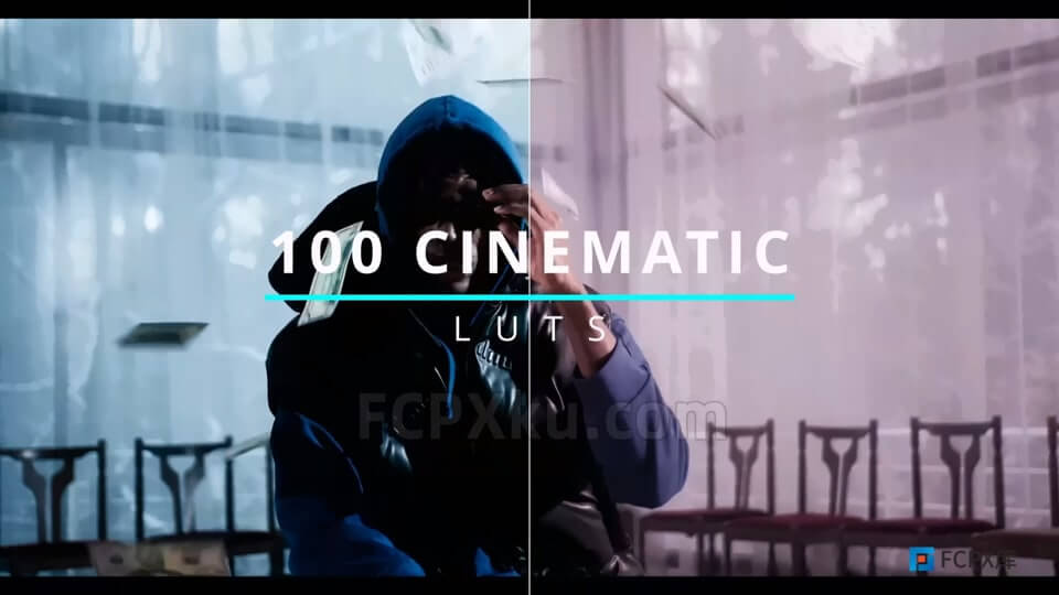 100种电影颜色分级视频调色LUTs预设_FCPX库