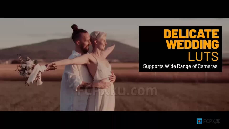 15种精致婚礼视频调色LUTs预设_FCPX库