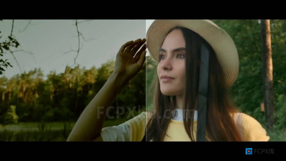 12种冒险神秘气氛视频调色LUTs预设_FCPX库