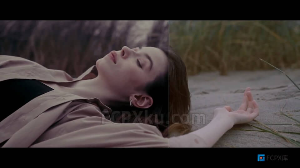 12种模拟电影胶片视频调色LUTs预设_FCPX库